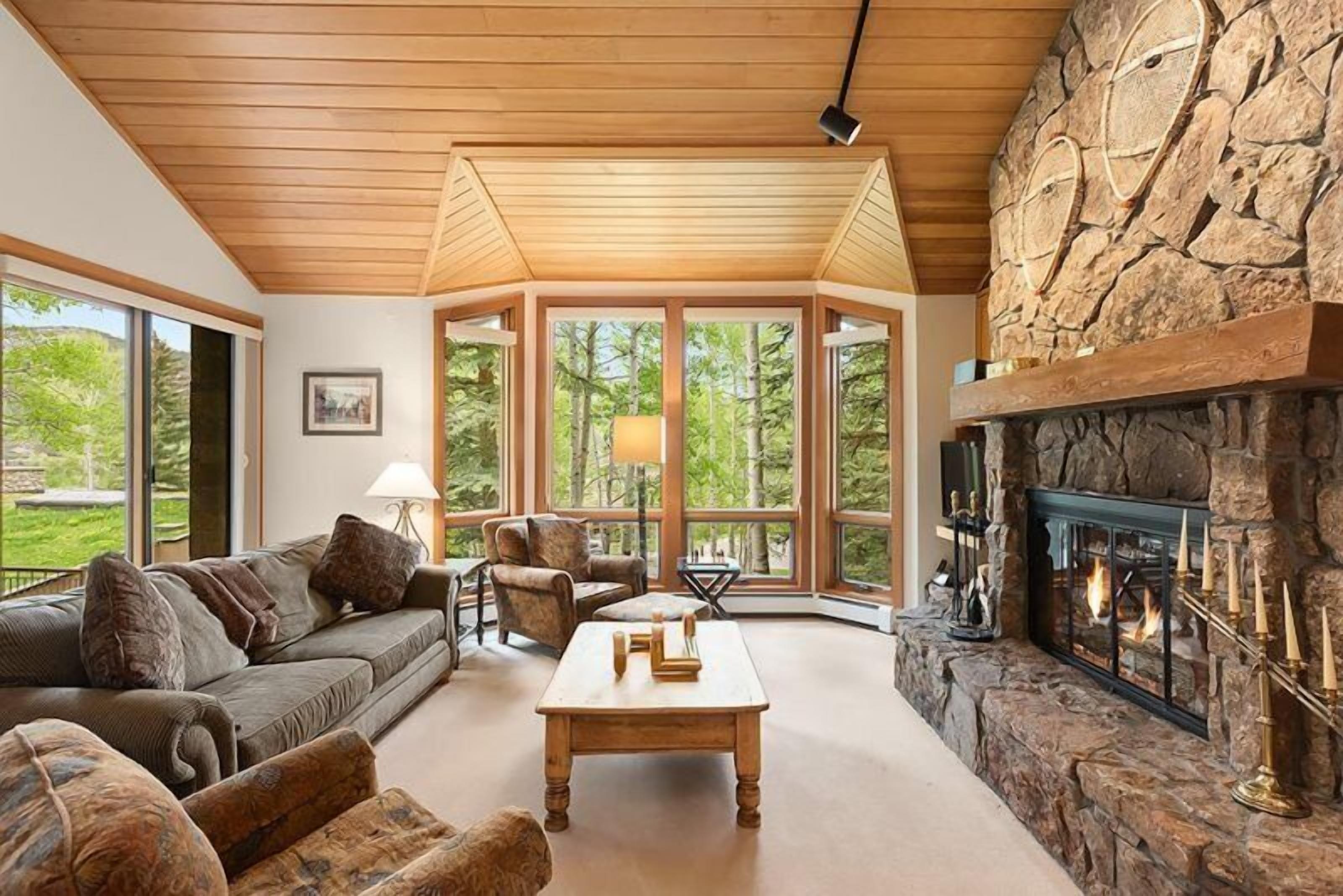 Casa (Luxury Ski in, Ski out 2 Bedroom Colo) | Sala