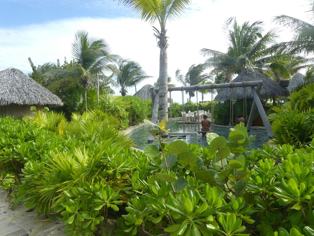 Five diamond resort hotel offers luxury experience from start to ...