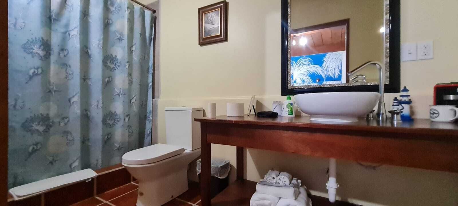 Casa de banho com sanita, lavatório, espelho e cortina de chuveiro.