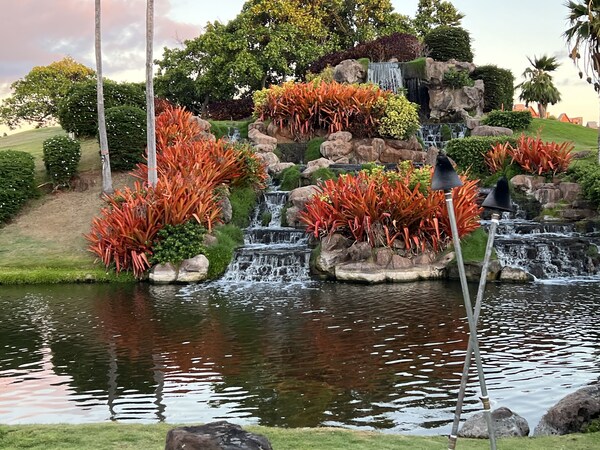 Oasis Awaits - O‘ahu, HI