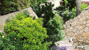Escadaria de pedra rodeada por vegetação exuberante e flores roxas.