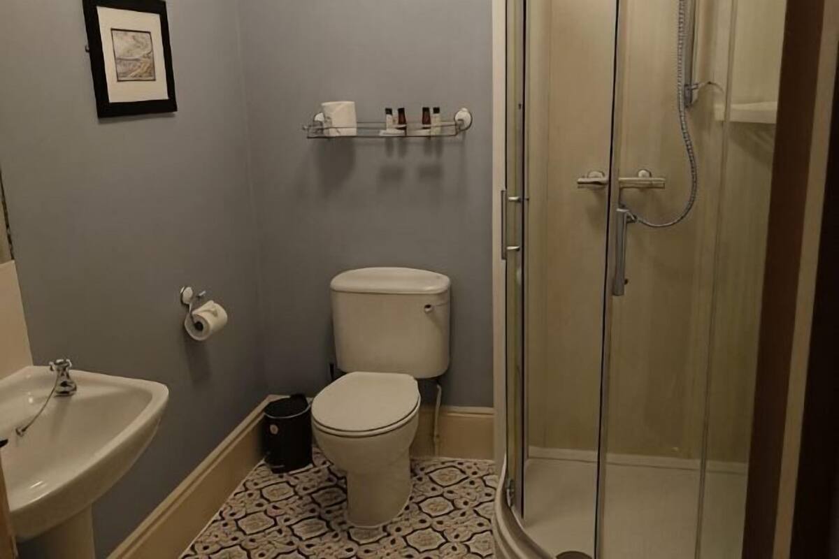 Um banheiro com pia, vaso sanitário, chuveiro e piso estampado.