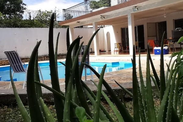 Piscina externa, funciona das 6h às 21h, guarda-sóis, espreguiçadeiras