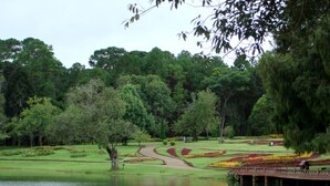 Um parque com um lago, caminhos para passear e uma ponte.