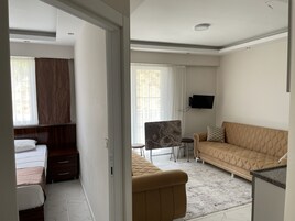 Apartamento standard, sacada | 1 quarto, ferros/tábuas de passar roupa, Wi-Fi de cortesia