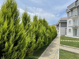 Jardim