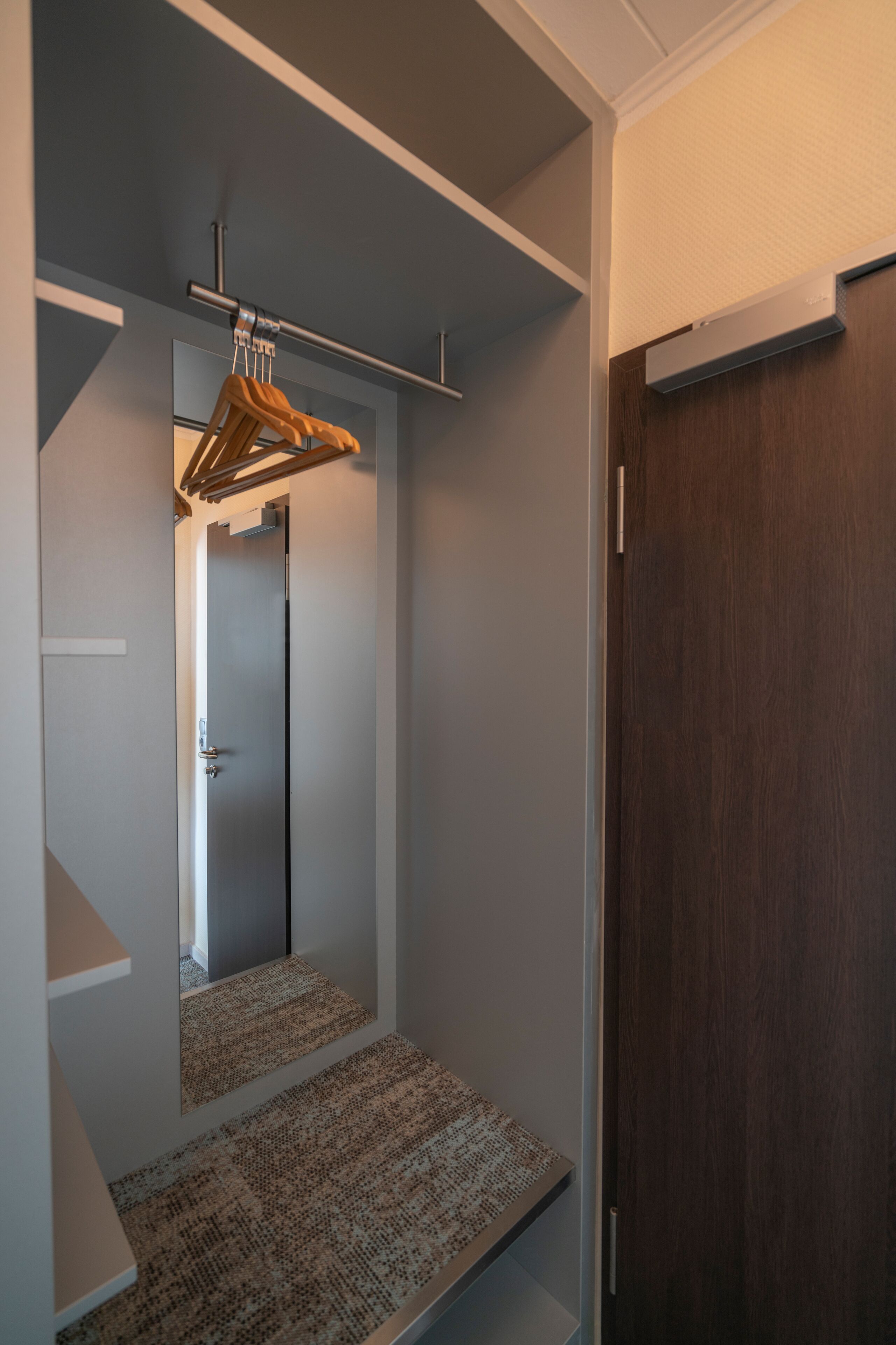 Um corredor moderno com porta de madeira, cabide suspenso e tapete estampado.