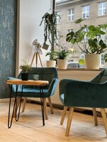 Uma área de estar acolhedora com duas cadeiras verde-água e uma mesa de madeira, cercada por plantas em vasos e uma câmera presa a um tripé.