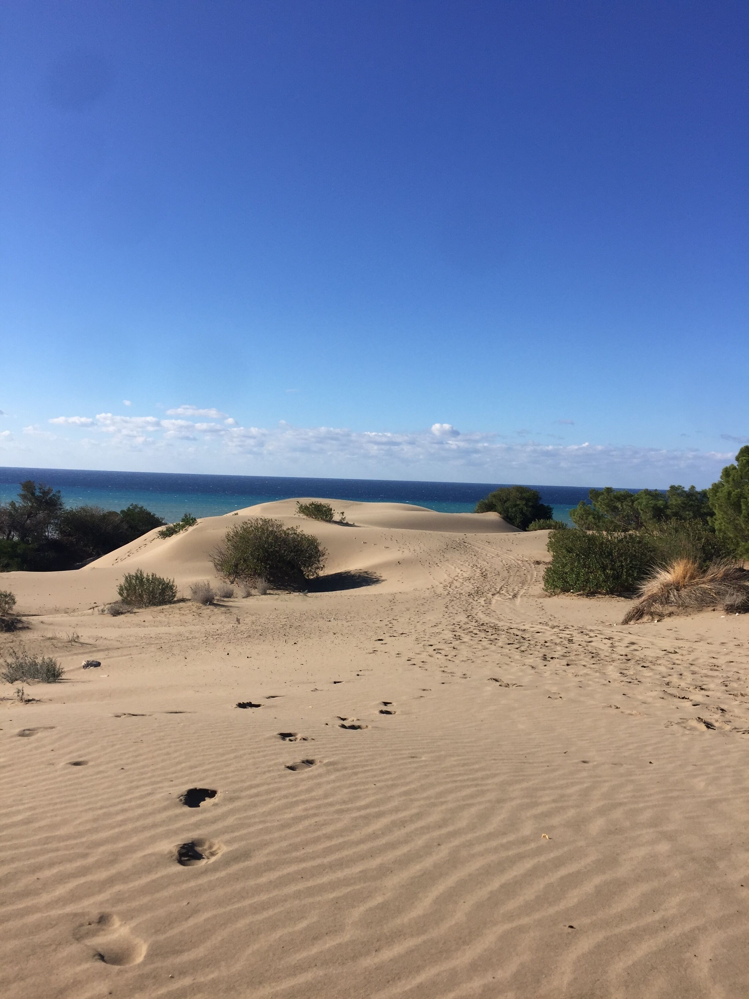 Paisagem desértica com dunas de areia e vegetação escassa.