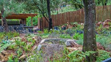 Terraço/pátio interior