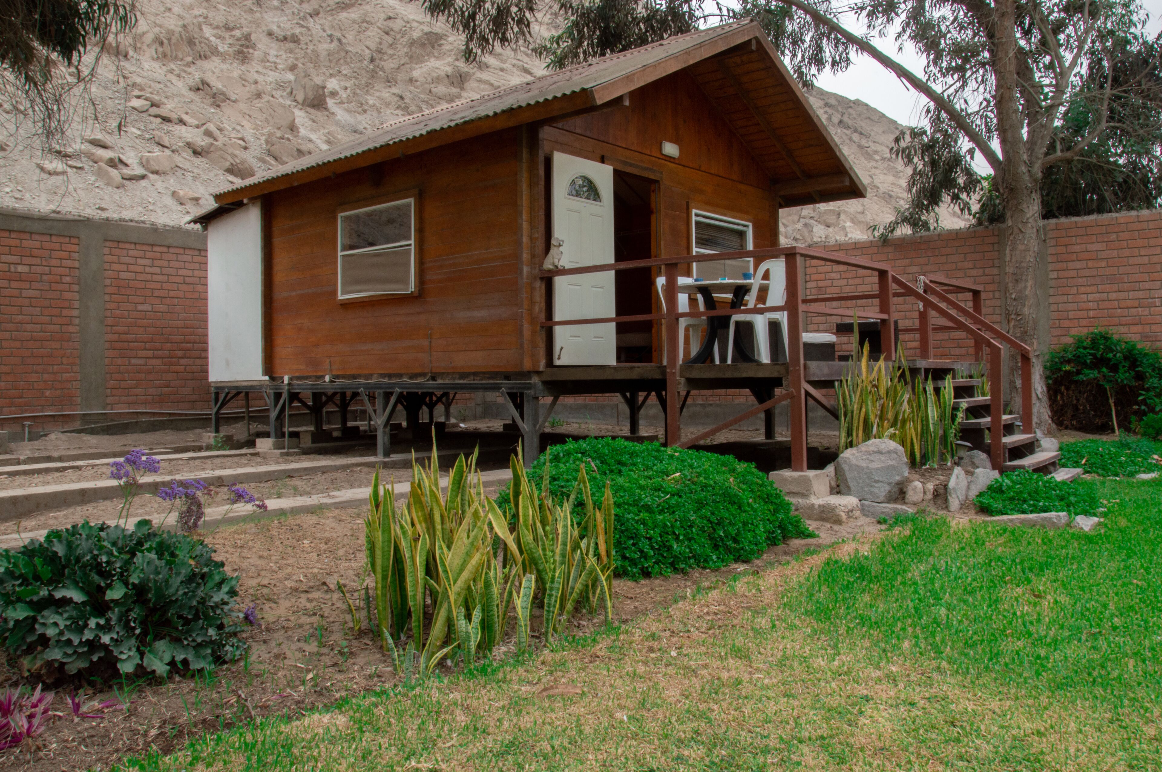 Cabana de Madeira Standard | Terraço/pátio interior