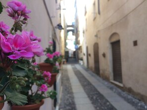 Apartamento | 1 quarto