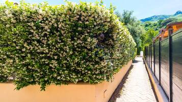 Apartamento | 3 quartos