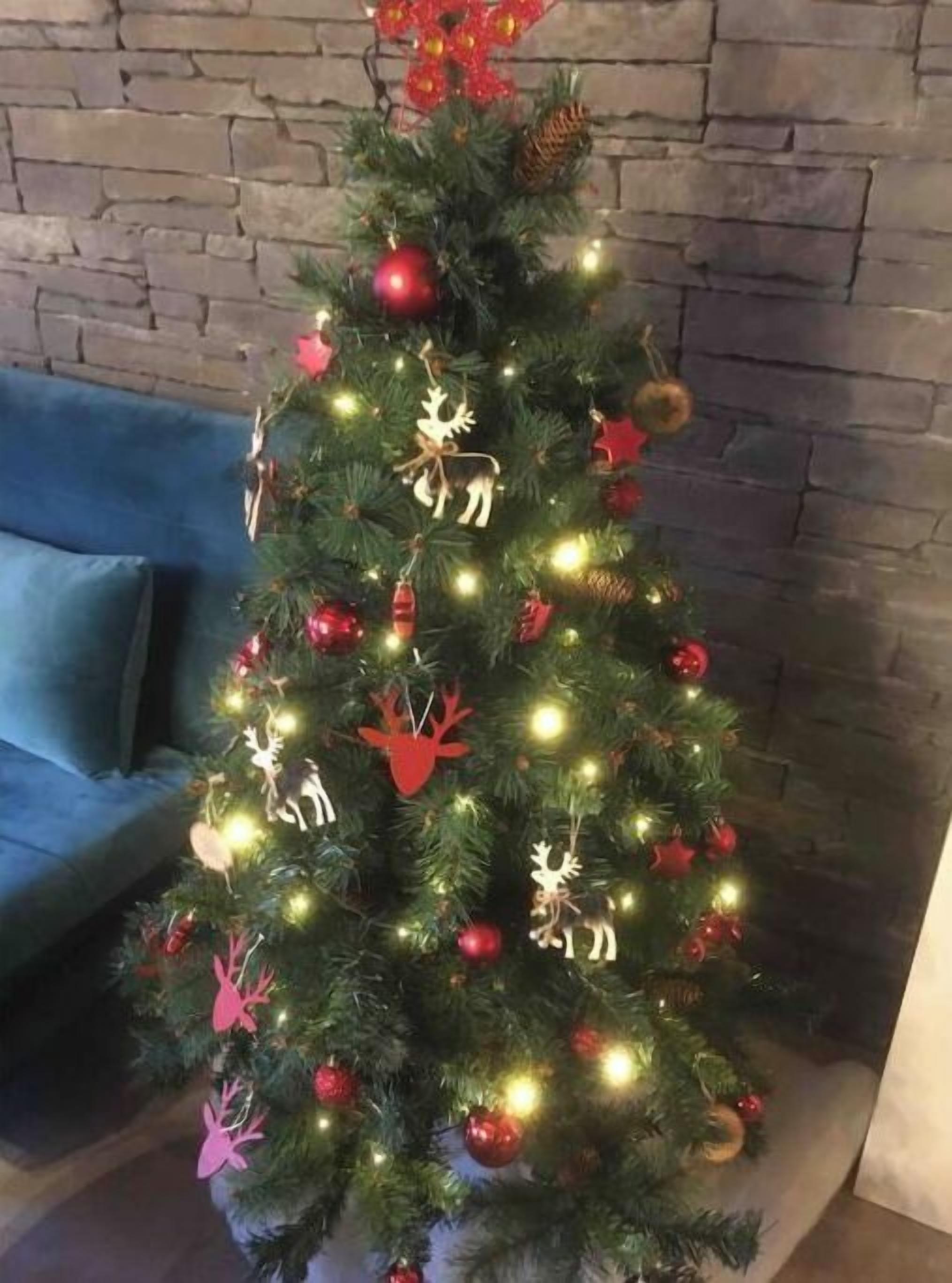 Apt F2 Meublé Dans Chalet (Cocooning) 4 Personnes - Lorraine