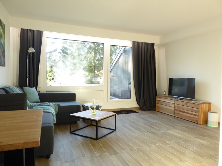 Winterberg Mountain Suite For Up To 4 People Wlan Private Terrace Sauna - Altastenberg