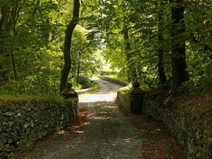 Cabana | Área da propriedade