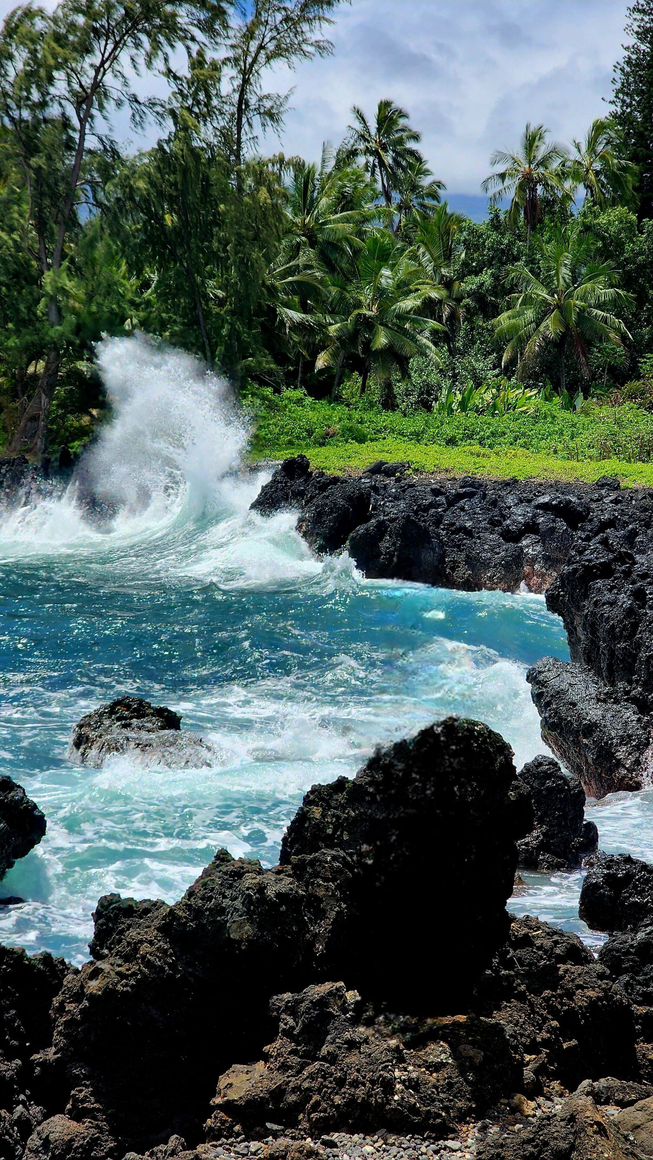 Uma paisagem costeira com ondas quebrando em rochas vulcânicas escuras, palmeiras e vegetação exuberante ao fundo.