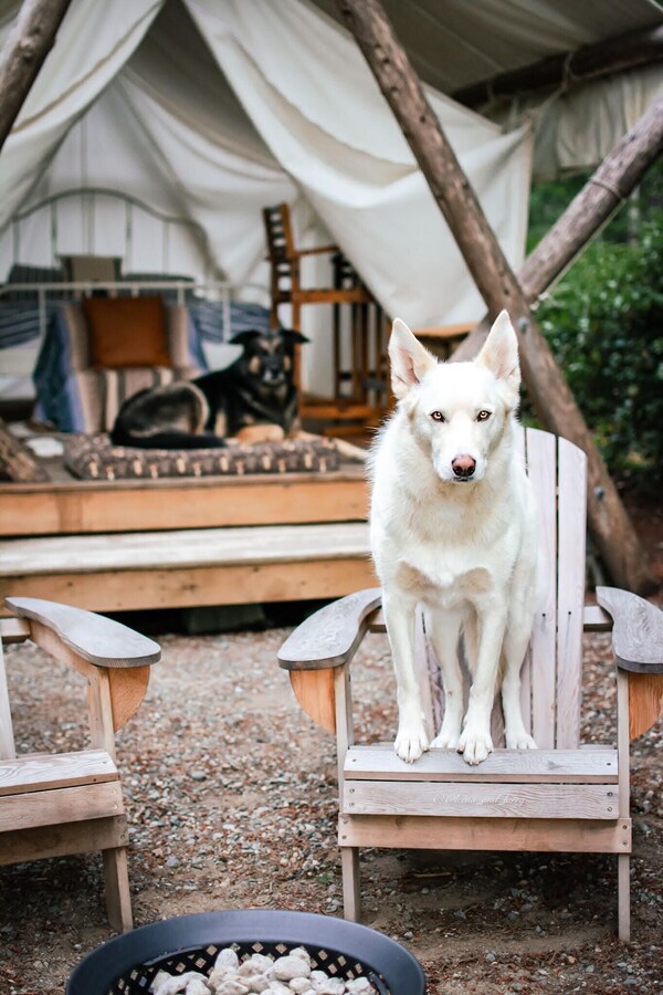 Smith Lake Farm - Vancouver Island