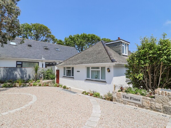 더 파인스 - 세인트아이브스