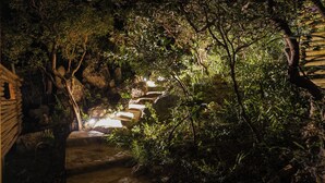 Escadaria de pedra rodeada por vegetação densa e uma estrutura de madeira no lado esquerdo.