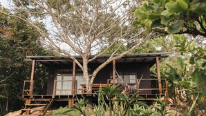 Uma cabana rústica com uma escadaria de madeira que dá para um deck, rodeada por vegetação exuberante e uma grande árvore.