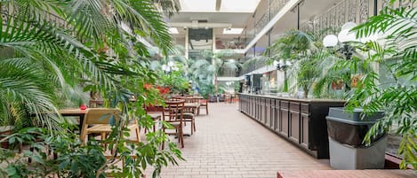 Café da manhã continental grátis todos os dias