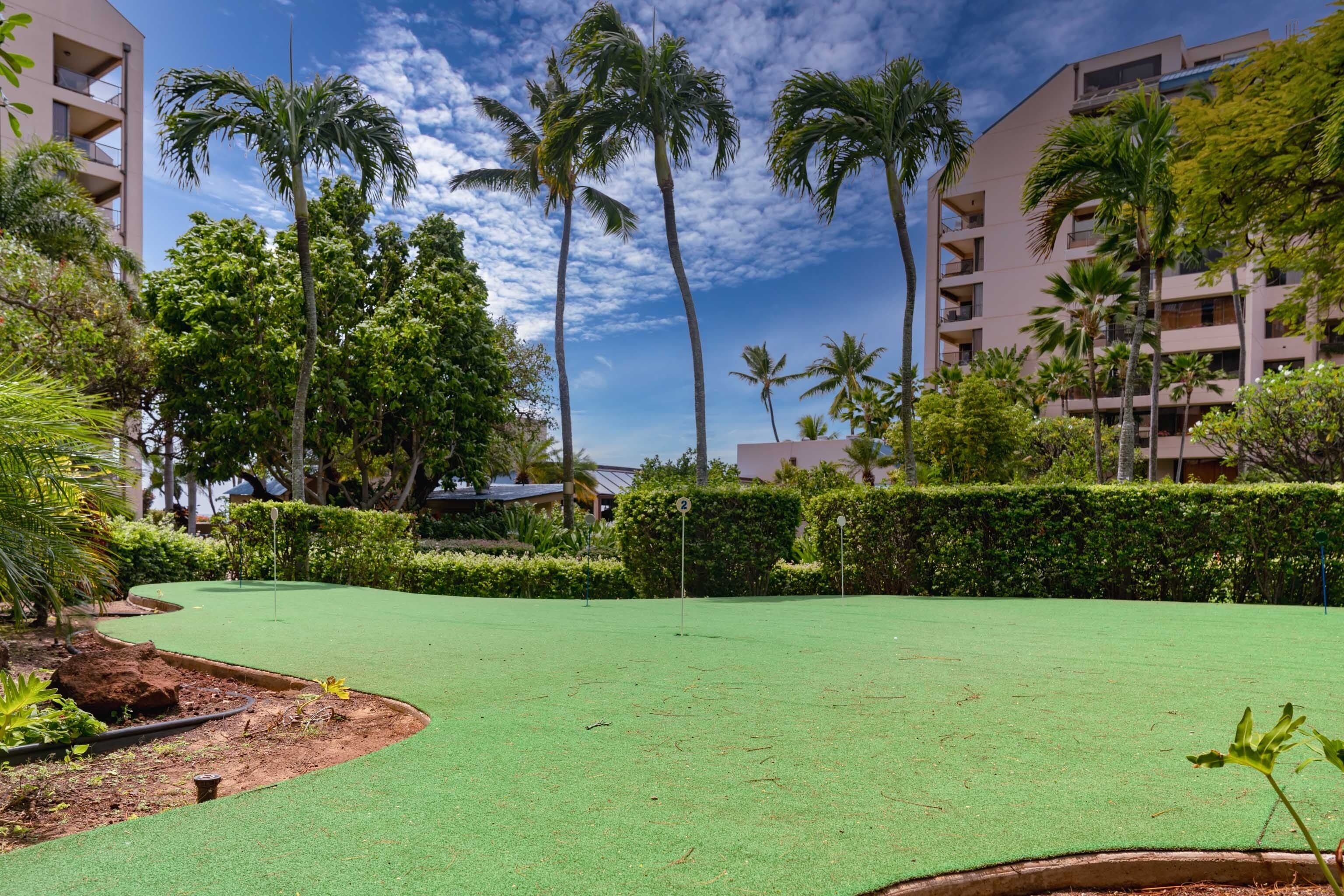 Condo, 2 quartos | Área da propriedade