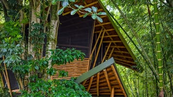 Casa na árvore luxo | Wi-Fi de cortesia