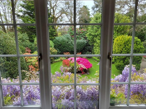 Quarto Duplo Deluxe | Vista do quarto