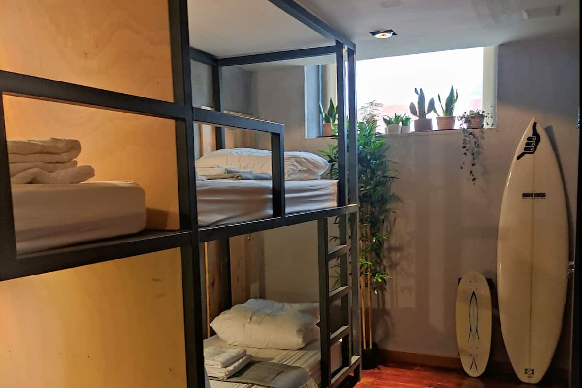 Quarto com beliches, uma prancha de surf e plantas em vasos.