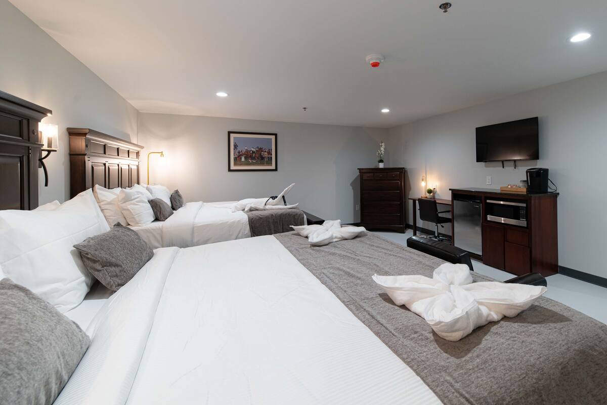 Quarto de hotel com duas camas, uma escrivaninha com micro-ondas, televisão e cómoda.