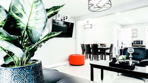 Uma sala de estar moderna com uma planta grande em vaso, um sofá preto, uma área de jantar com cadeiras e uma TV na parede.