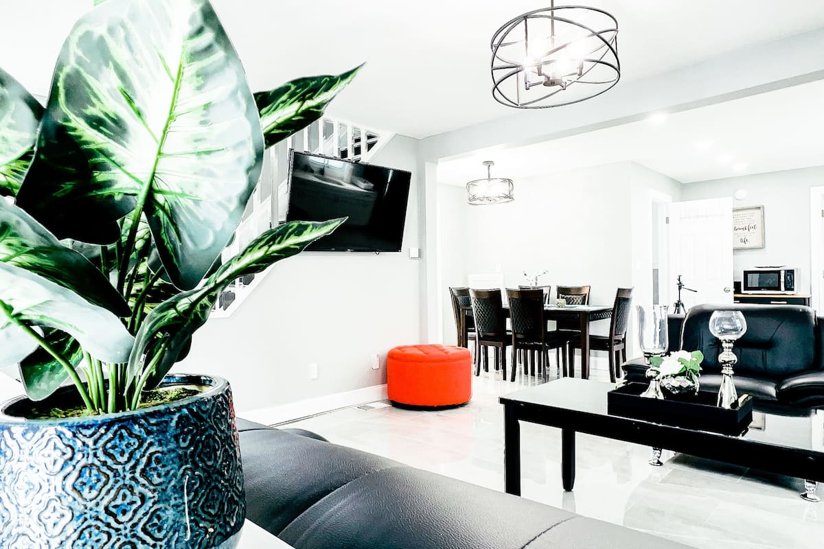 Uma sala de estar moderna com uma planta grande em vaso, um sofá preto, uma área de jantar com cadeiras e uma TV na parede.