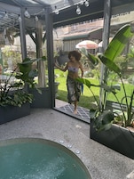 Uma área externa envidraçada com piscina, plantas em vasos e vista para uma casa ao fundo.