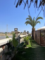 Quarto Económico | Vista para o jardim