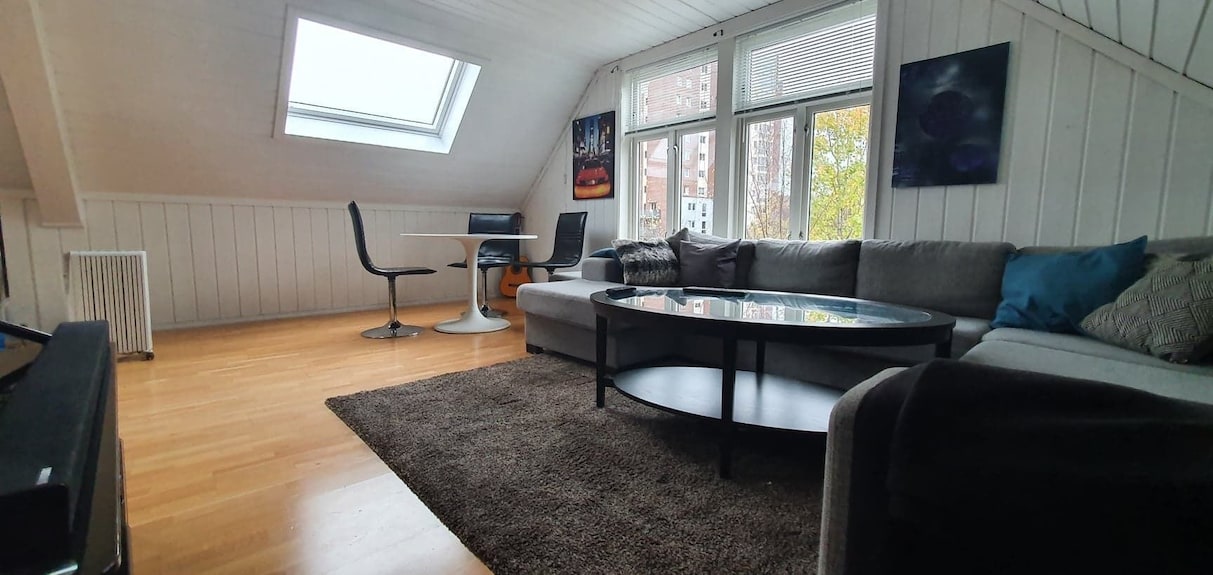 Bright And Spacious Apartment With Free Parking - Trondheim