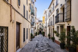 Uma rua de paralelepípedos estreita, ladeada por edifícios com varandas e plantas em vasos.