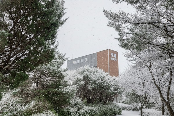 데이지 호텔 양평 - 금왕읍