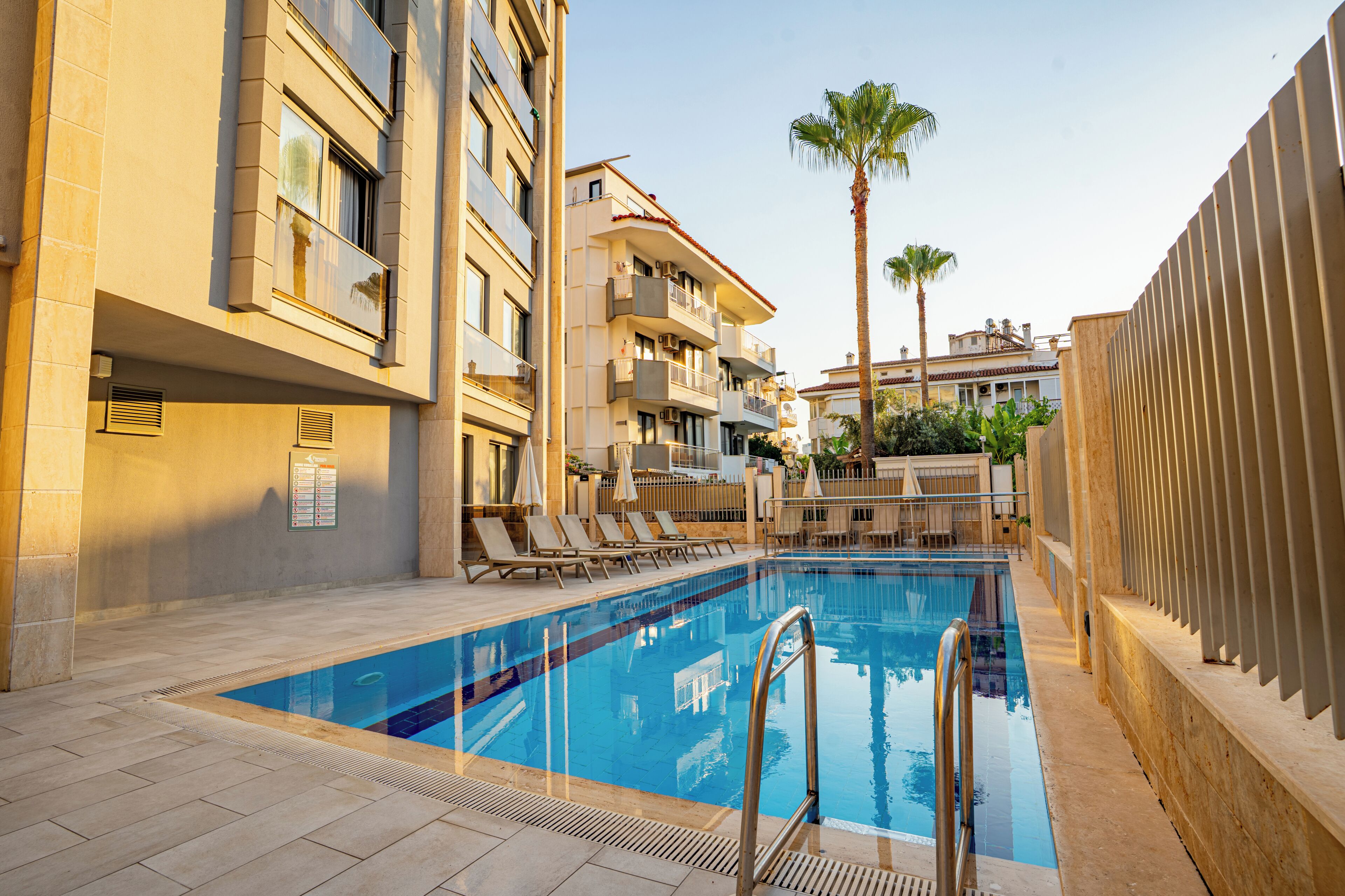 Área de piscina com espreguiçadeiras e uma palmeira.