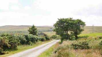 Uma estrada rural com uma árvore à direita, rodeada por vegetação e colinas ao fundo.