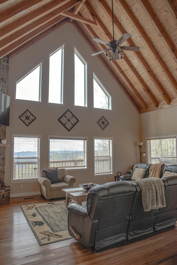 Stone's Mountain View - Laurel Falls, Coalmont