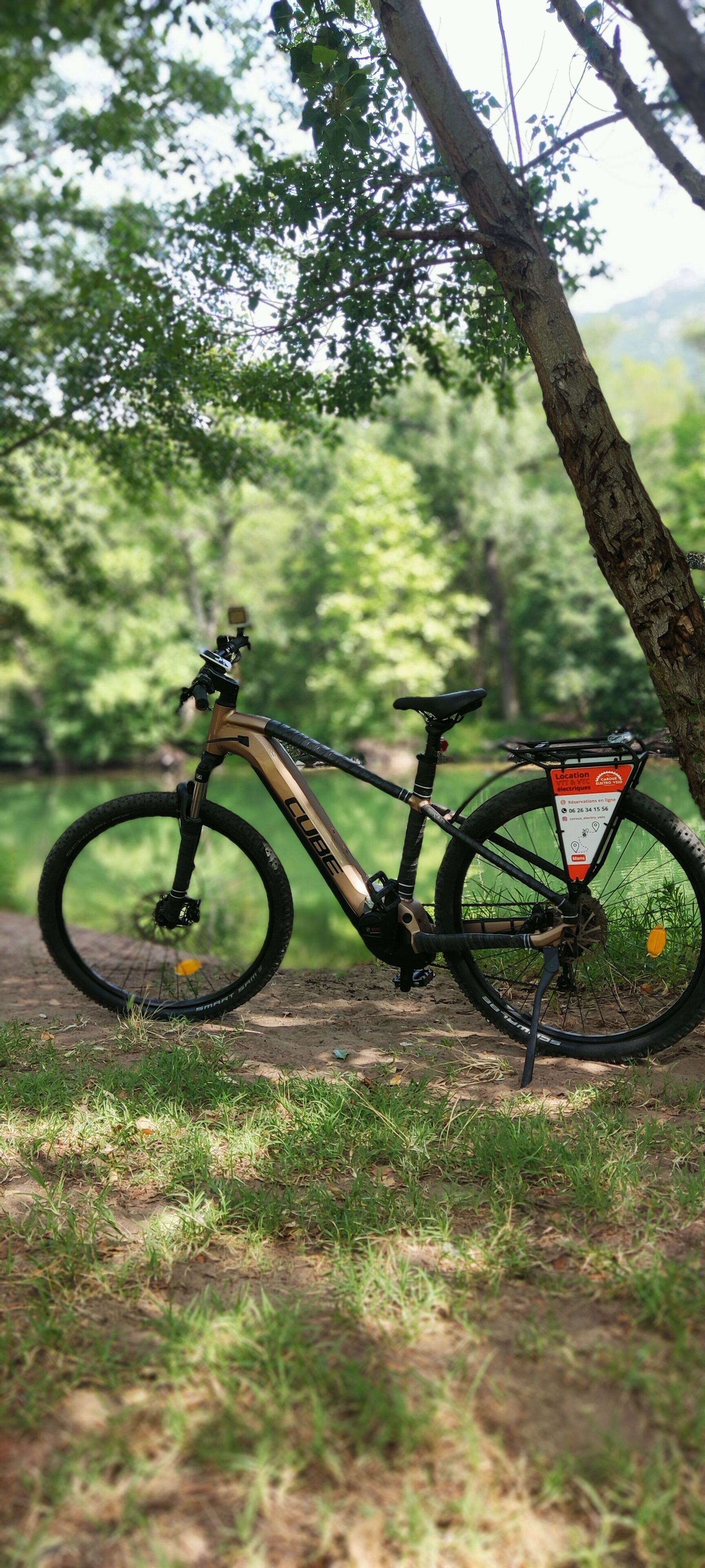 Uma bicicleta de montanha estacionada sob uma árvore em um parque.
