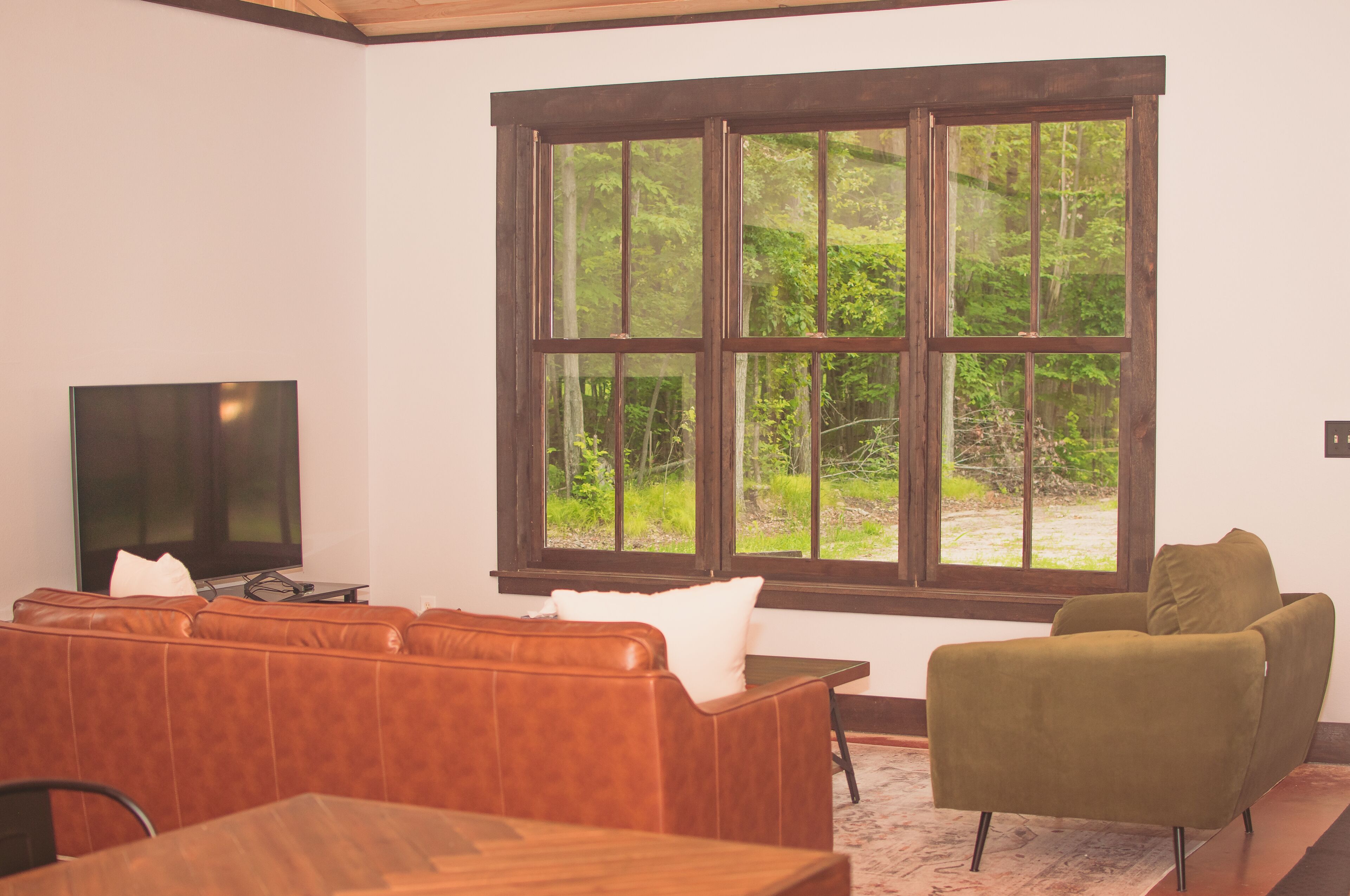 Pet Friendly-secluded-fire Pit-300mbps Internet - Minnesota