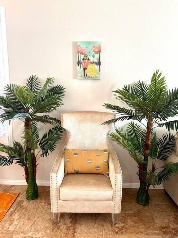 Mid-century Dream - Spotlight 29 Casino