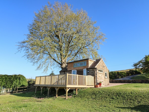 Cuckoo Nest - Chesterfield