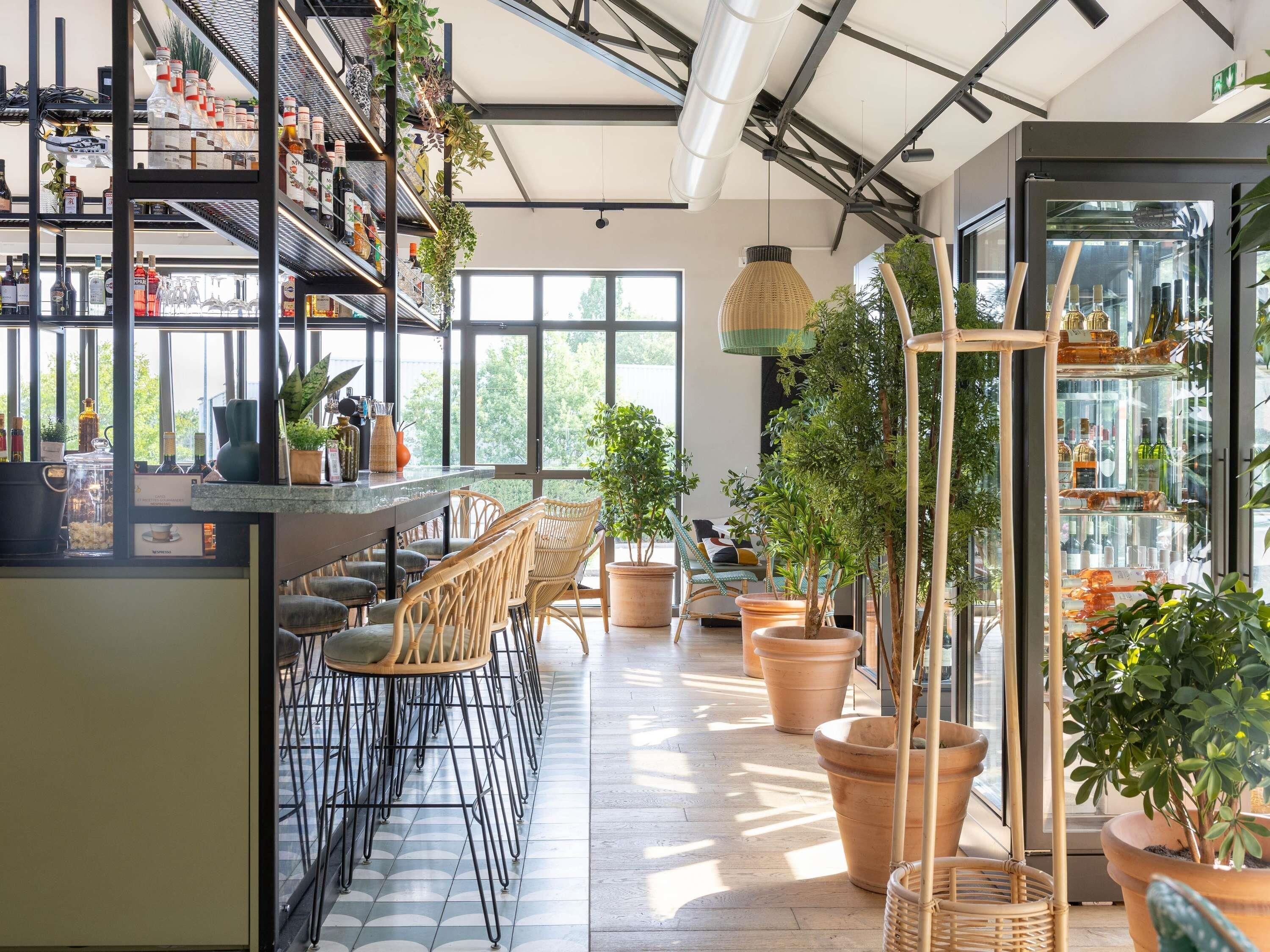 Um espaço de bar com prateleiras cheias de garrafas, cadeiras de vime e grandes vasos de plantas.