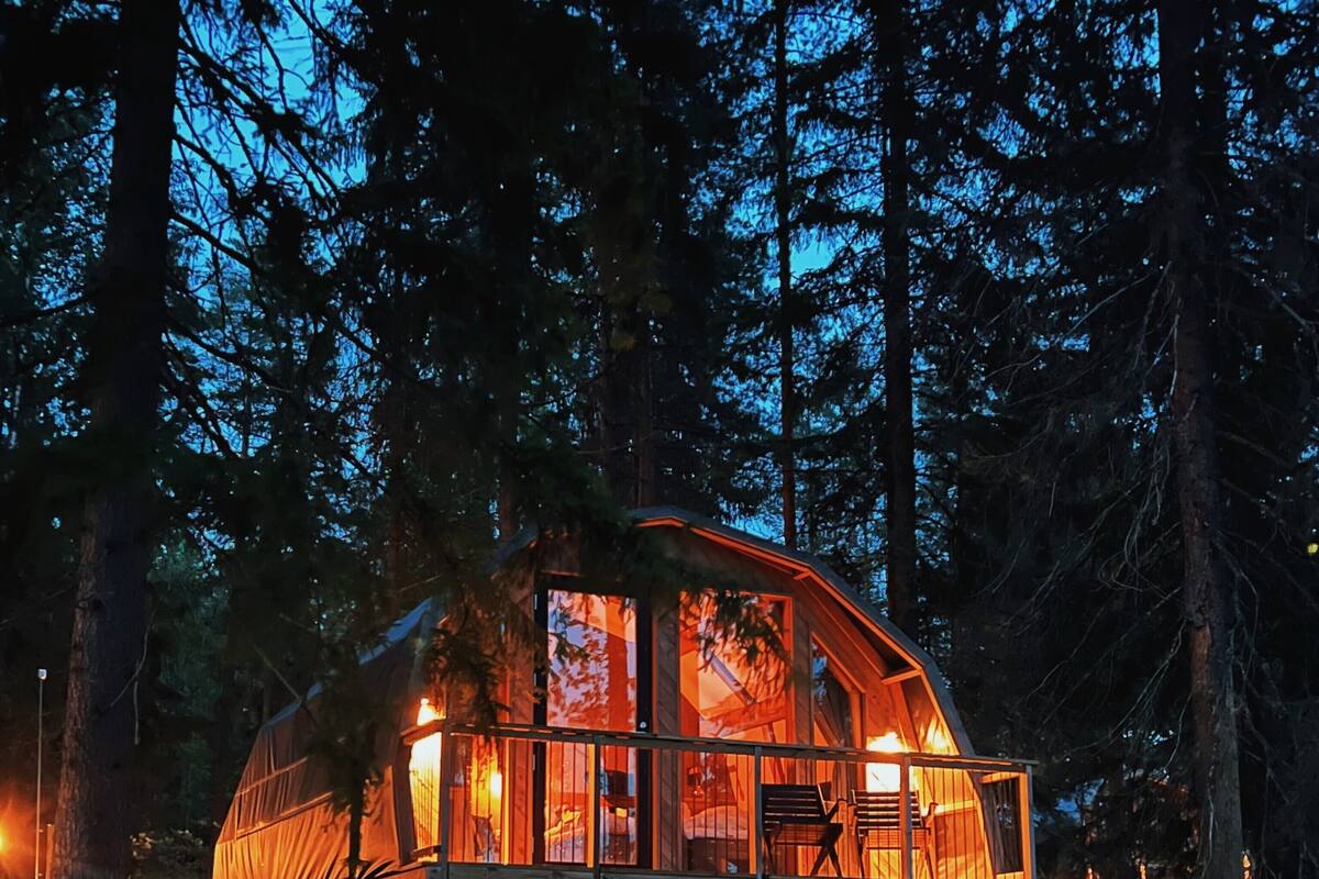 Uma cabana de madeira com janelas amplas e um deck, rodeada por uma floresta densa.