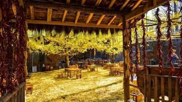 Refeições ao ar livre