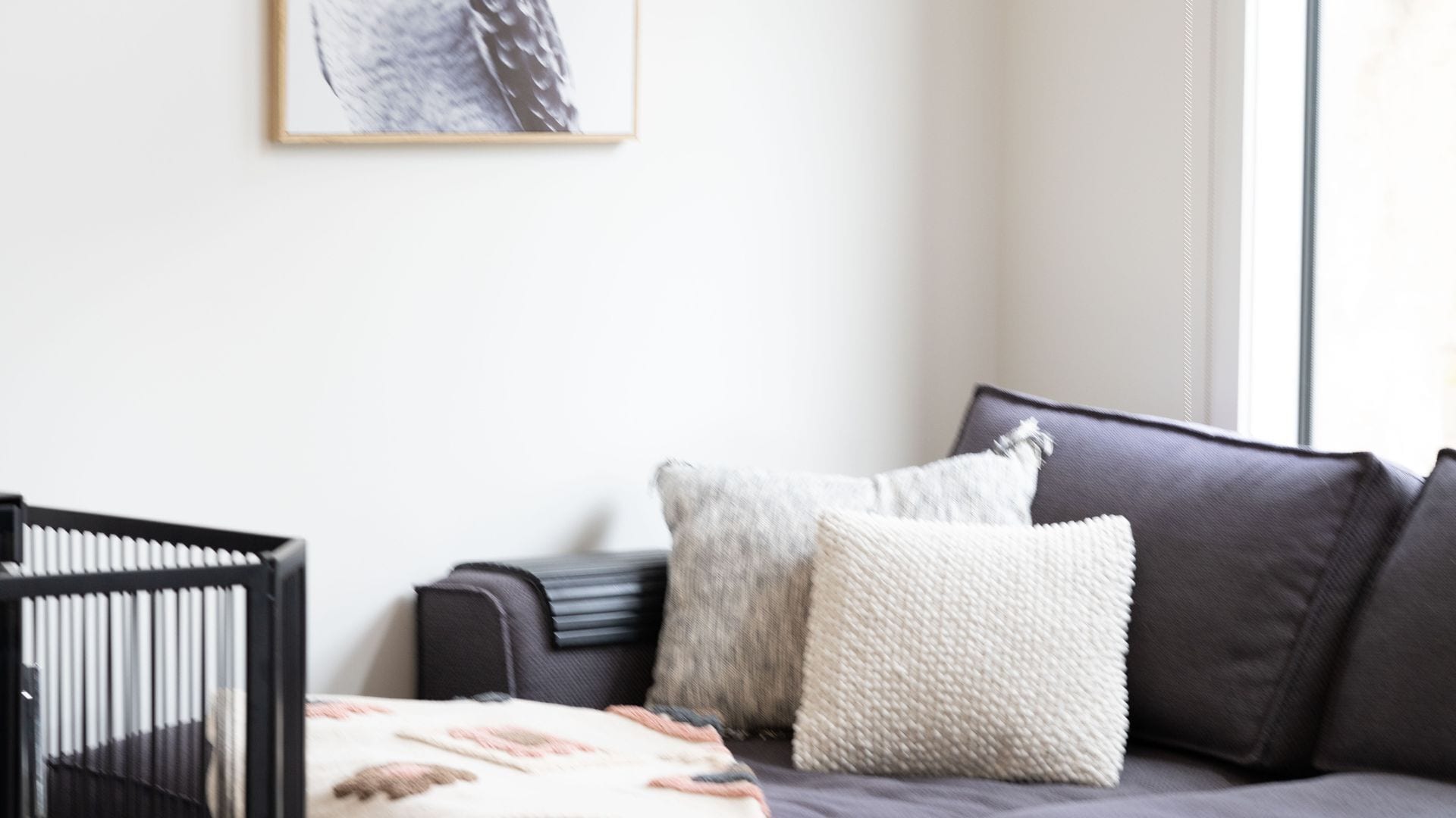 Eildon 138 Panoramic Views - Eildon