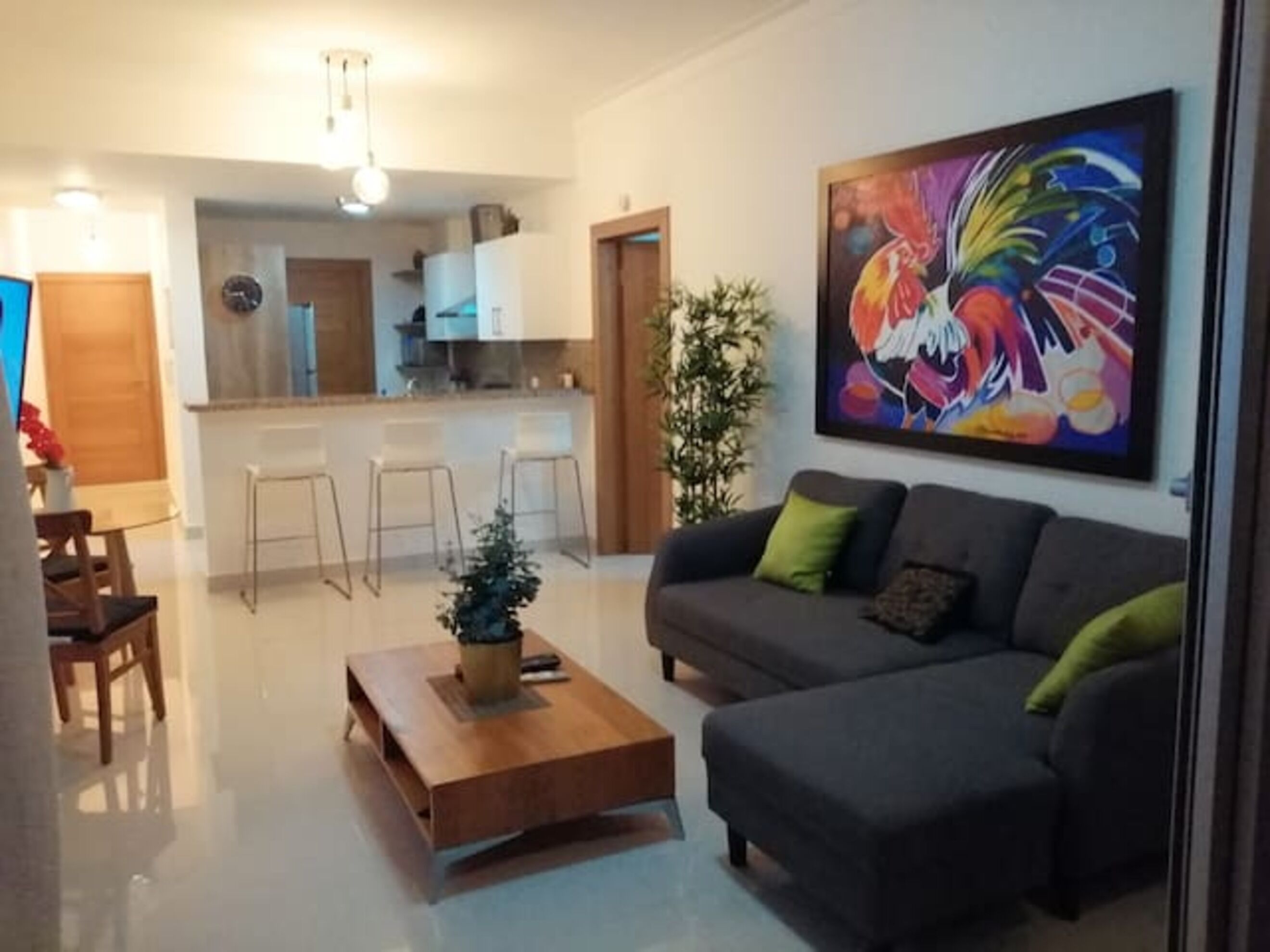 Central Apt W/balcony -5 Minute To Blue Mall/supermarket - Santo Domingo